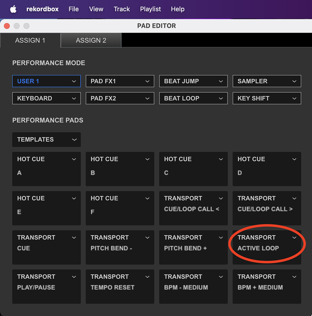 Rekordbox/Traktor Active Loop equivalent - Suggestions - Algoriddim Community Forums